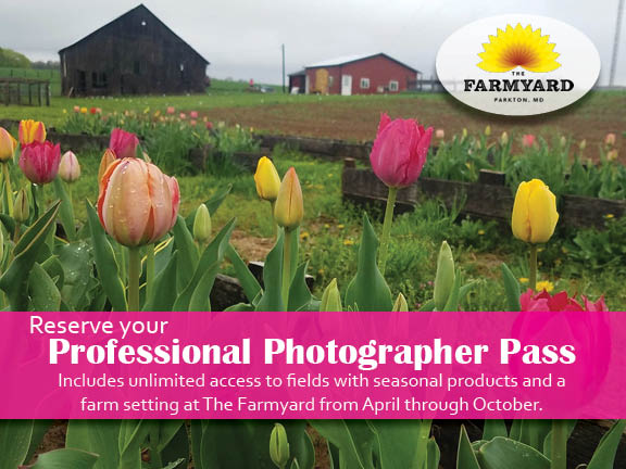Professional Photographer Pass | The Farmyard