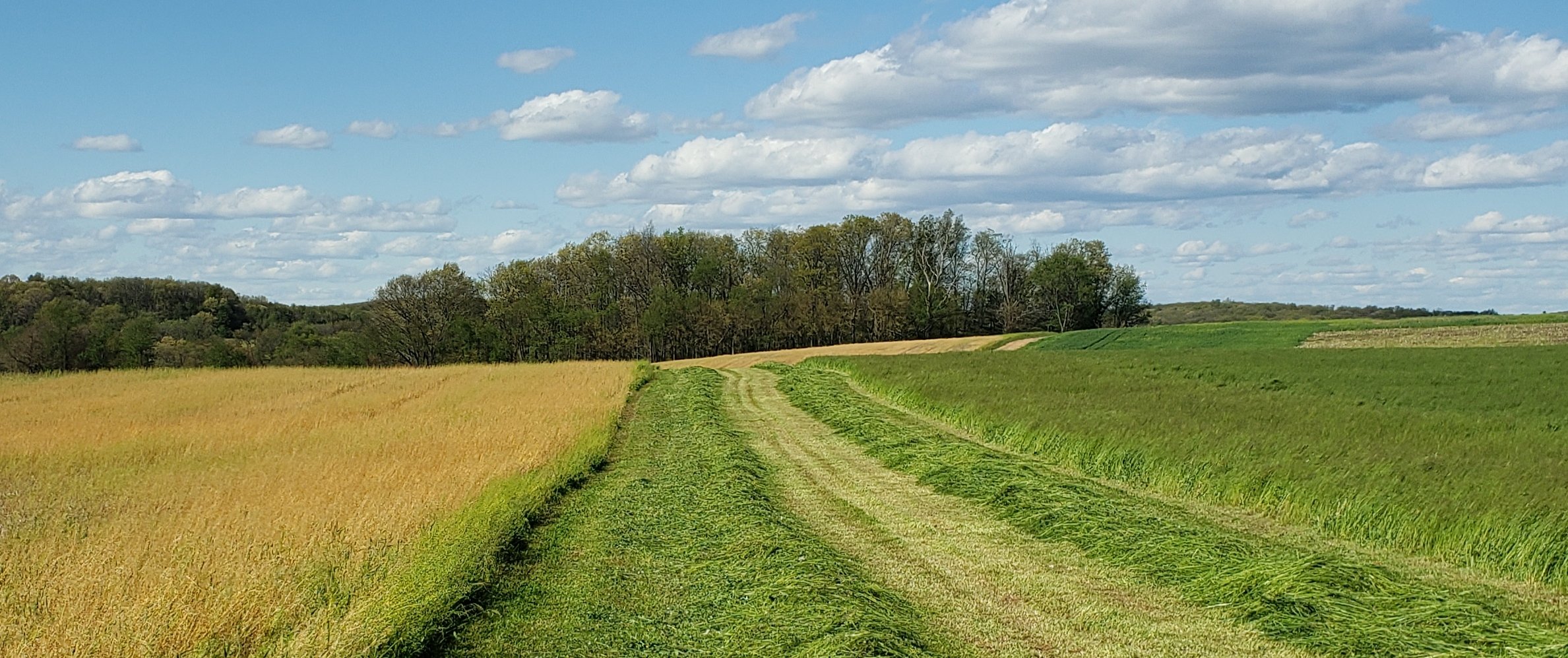 Walking Paths | The Farmyard