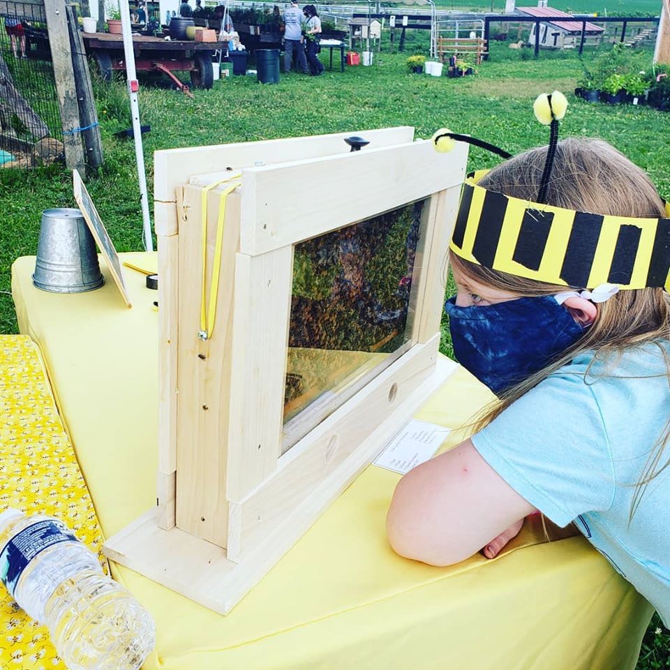 bailey-bee-hive | The Farmyard