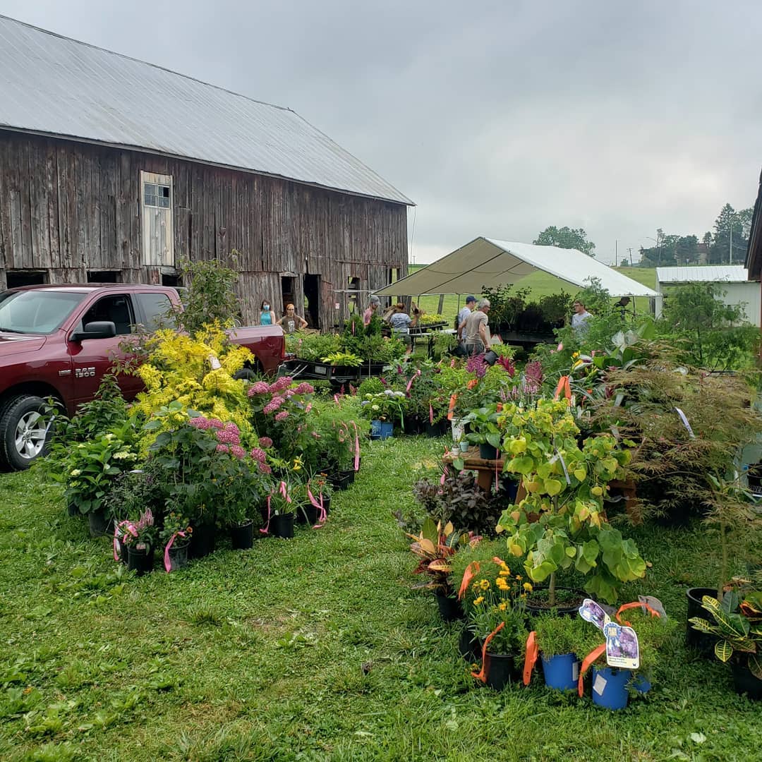 American Landscape Institute Plant Sale | The Farmyard