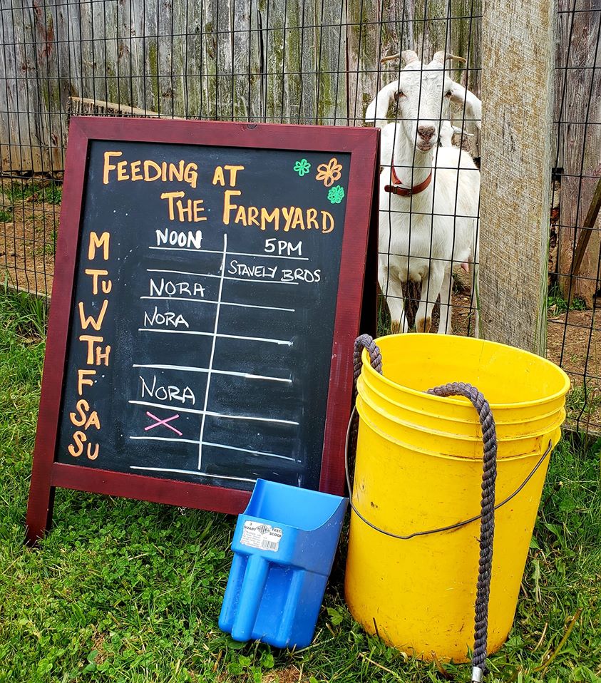Chore Chart Program | The Farmyard