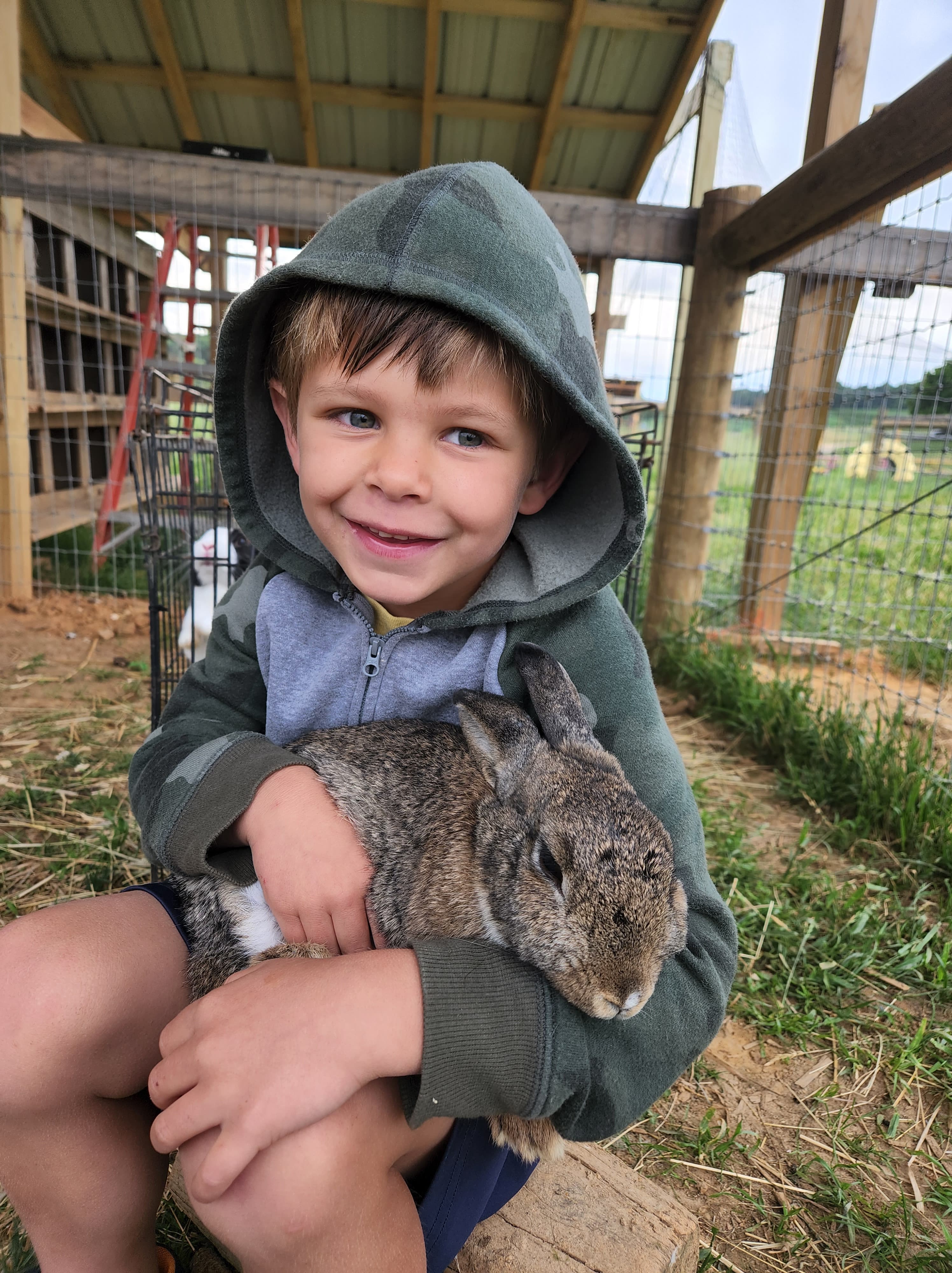 Livestock Program | The Farmyard