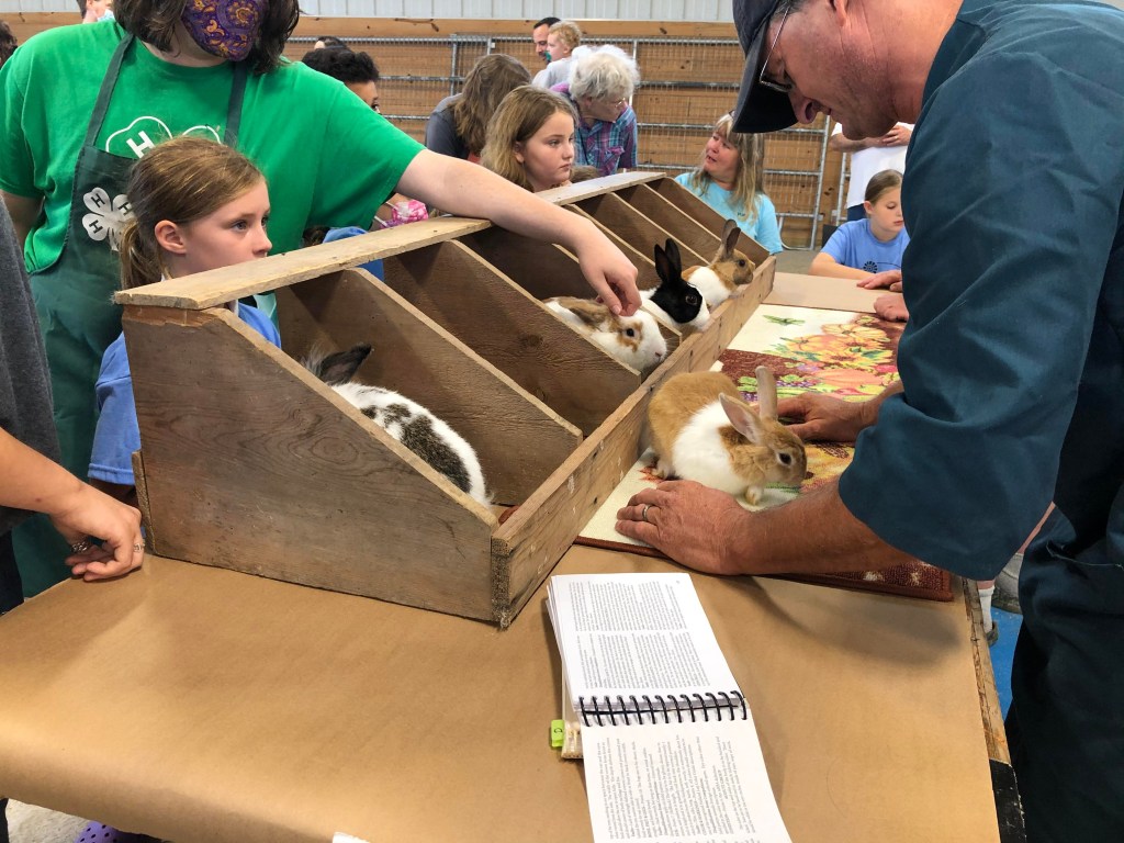 Livestock Program | The Farmyard