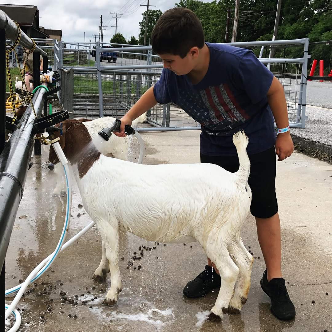 Liability Form | The Farmyard