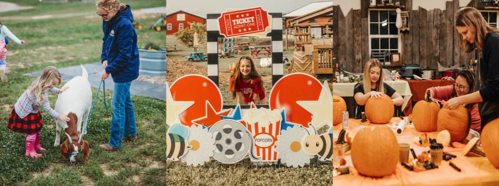 The Farmyard | Living, Learning & Loving Agriculture