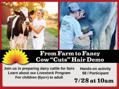 The Farmyard | Living, Learning & Loving Agriculture