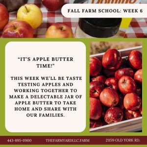 The Farmyard | Living, Learning & Loving Agriculture