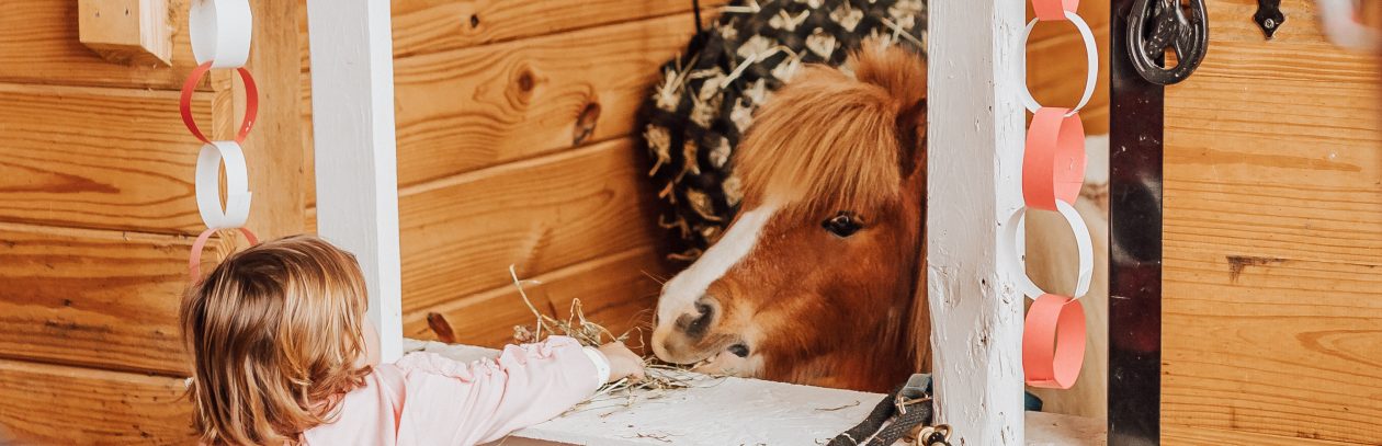 The Farmyard | Living, Learning & Loving Agriculture